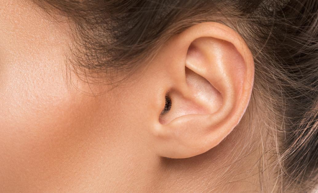 Oído – Grupo Orl Valencia